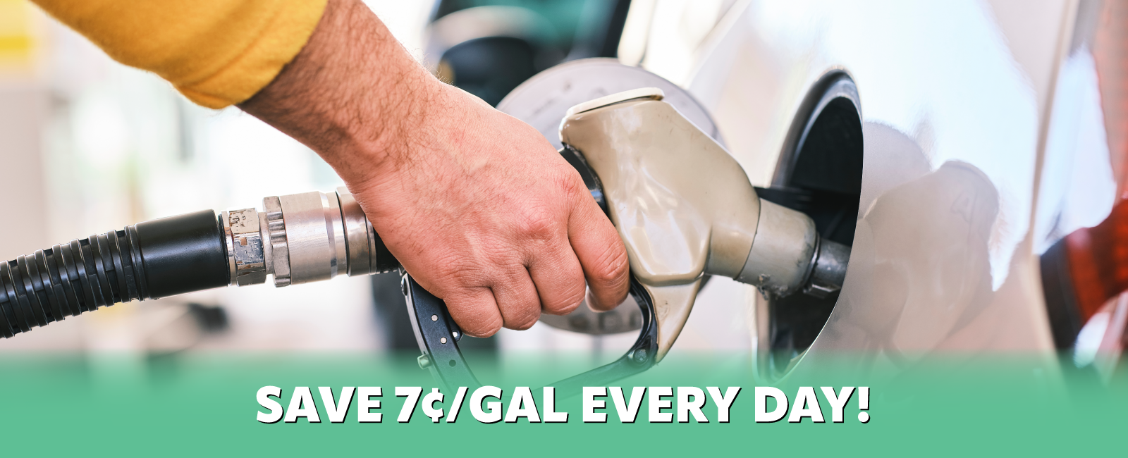 Lassus | Save with LASSUSGO Rewards